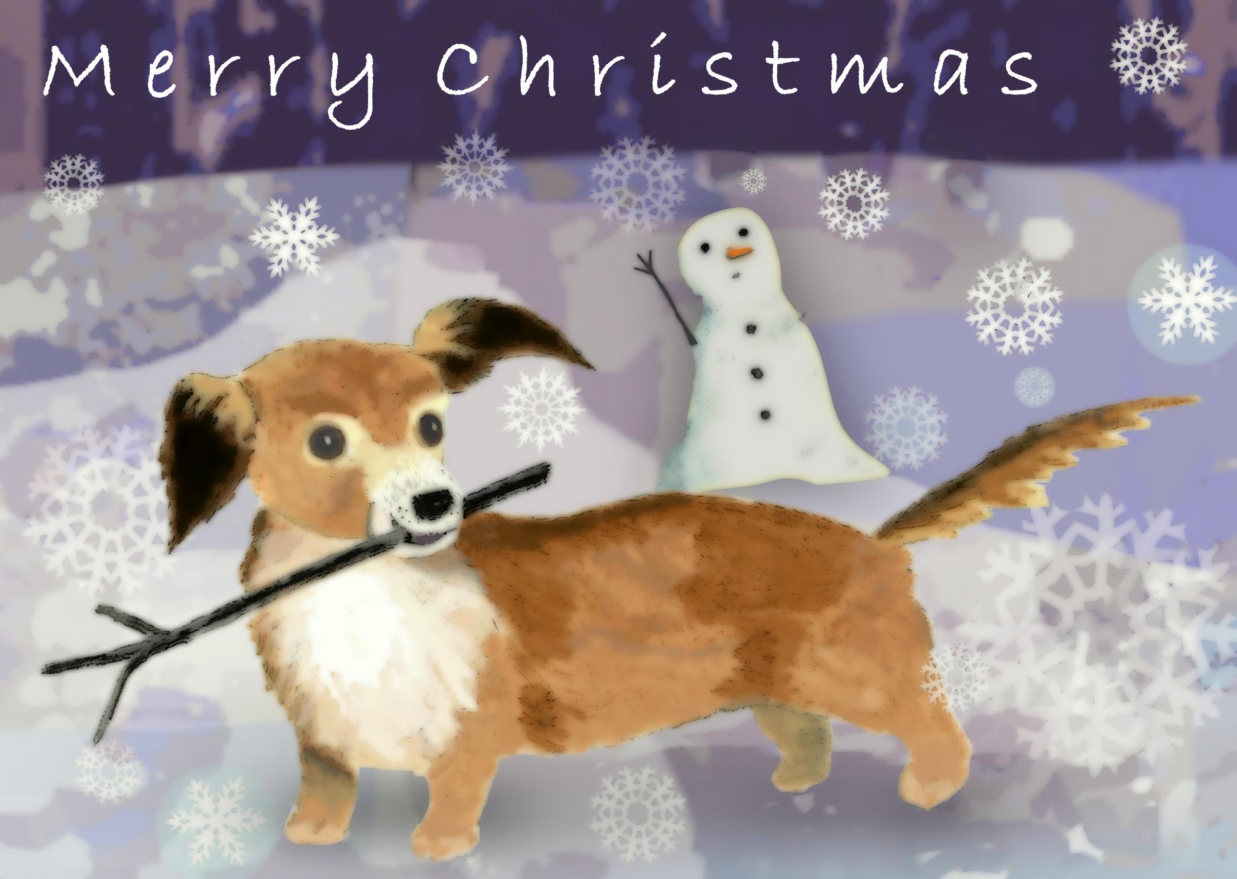 Christmas Card Time | Maisie and Pip