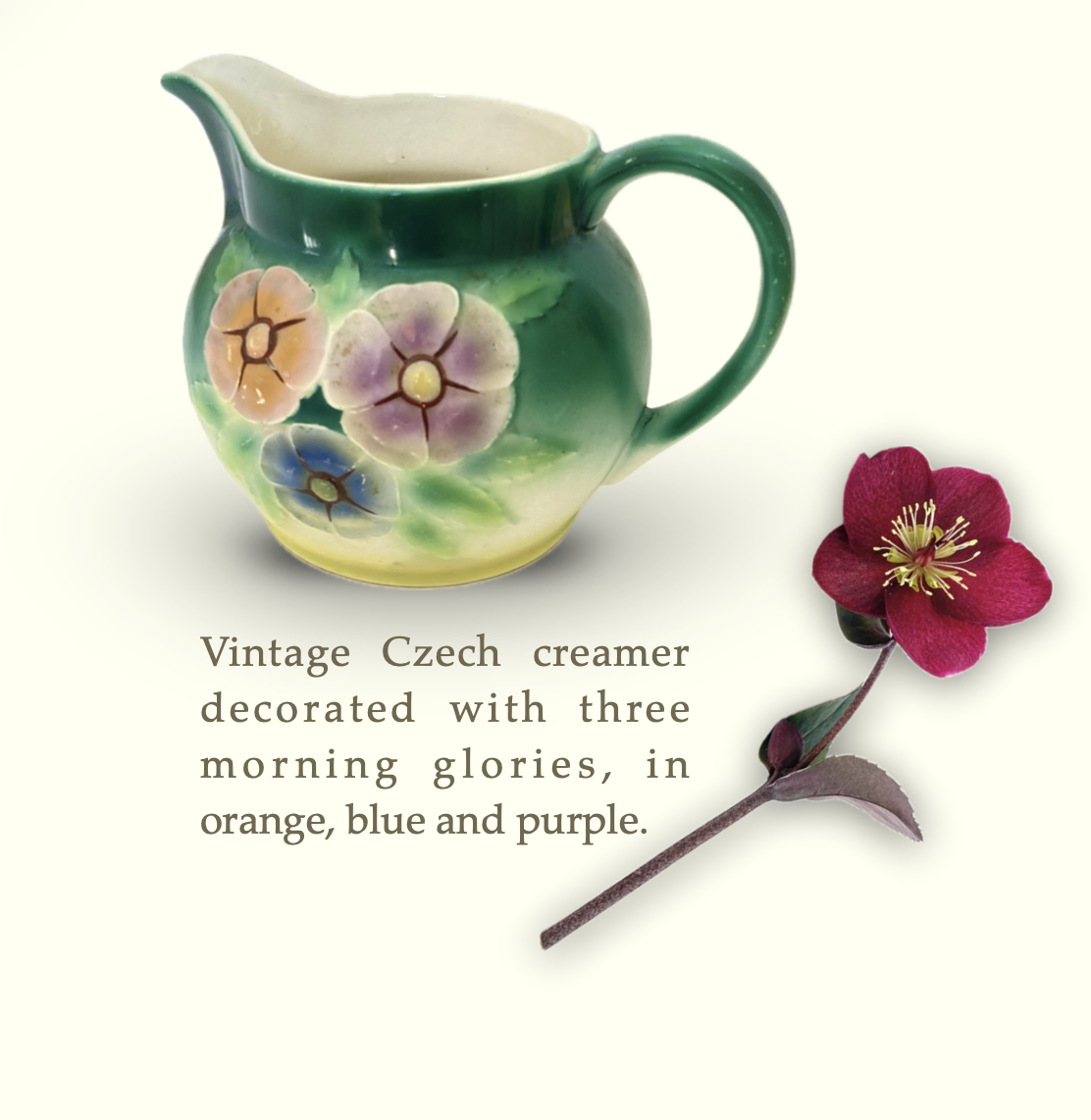 First Flowers of 2026 | Maisie and Pip