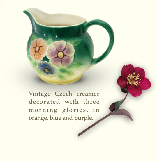 First Flowers of 2026 | Maisie and Pip